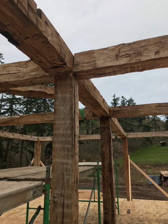 Way Out West: Timber Framing on Whidbey Island | A Blog about Old Barns ...